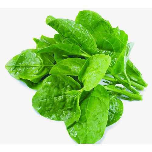 Buy Pooi Leaves 1 Bunch | India Grocers - Quicklly