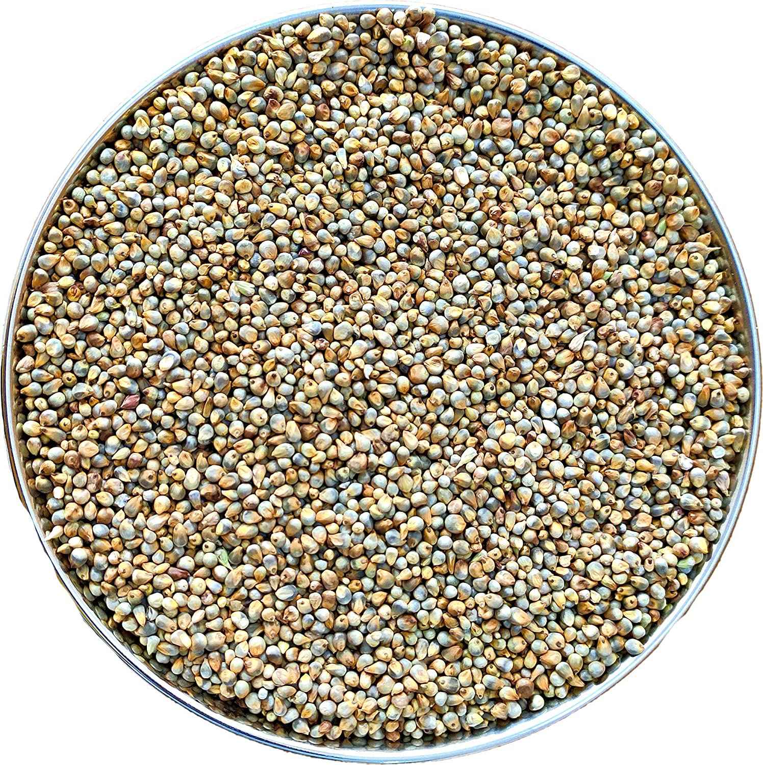 Buy Devam Pearl Millet 1 Kg | D Mart Supermarket - Quicklly