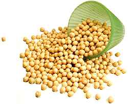 Buy Khushboo Yellow Vatana 1 Lbs | Manpasand - Quicklly