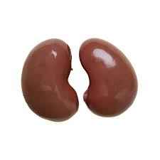 Buy Halal Goat Kidneys 1 Lbs | Aapka Bazaar - Quicklly