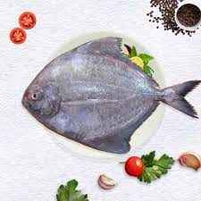 Buy Fresh Black Pomfret 1 Lbs | Famous Meats - Quicklly