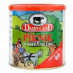 Buy Dairyland Piknik 400 Gm | South Shore Desi Market - Quicklly