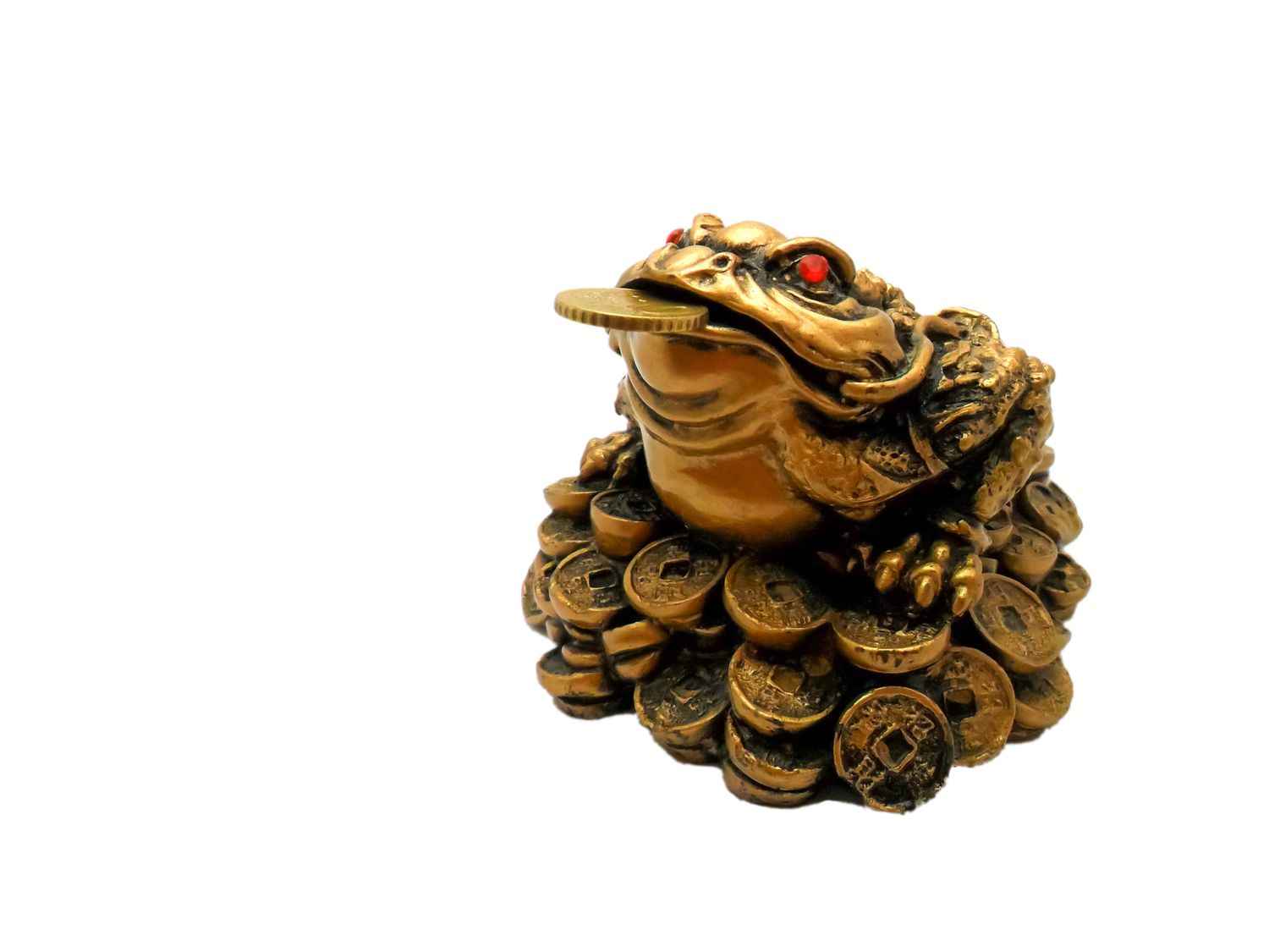 Buy Money Frog 1 Each | Himalayan Bazaar - Quicklly