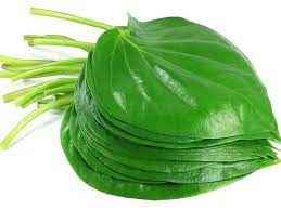 Buy Pan Leaves 1 Each | Suvidha Morrisville - Quicklly