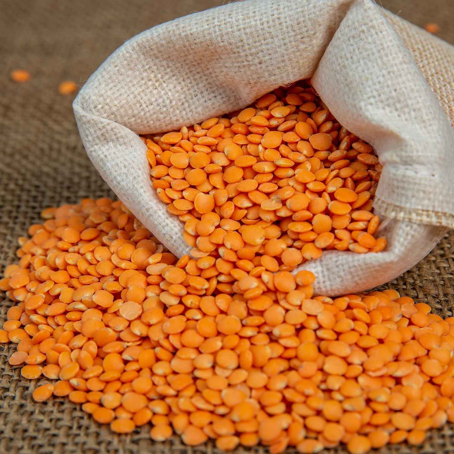 Buy Masur Gota 2 Lbs | New Foods Of India - Quicklly
