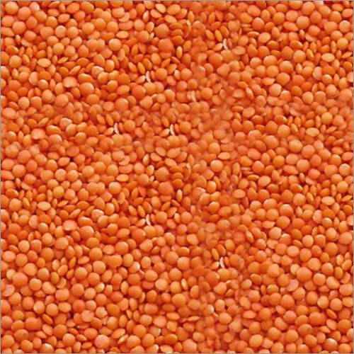 Buy Masur Gota 4 Lbs | New Foods Of India - Quicklly