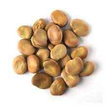 Buy Fava Beans No Skin 2 Lbs | New Foods Of India - Quicklly