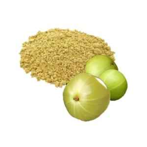 Buy Hans Amla Powder Jar 100 Gm | Taj Mahal Fresh Market - Quicklly