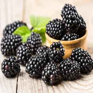 Buy Black Berries 1 Each | Maharaja Farmers Market - Quicklly