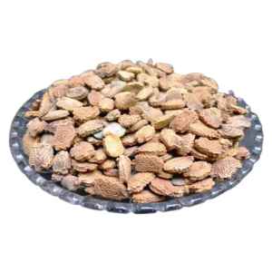 Buy Herbi Karela Seeds 3.5 Oz | Aapka Bazaar - Quicklly