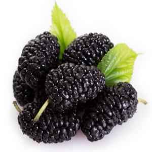 Buy Mulberry 10 Oz | India Sweets And Spices - Quicklly