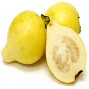 Buy Yellow Guava 1 Lbs | Fresh Farms - Quicklly