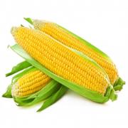 Fresh Farms - Local Indian Grocery Store in Chicago | Quicklly