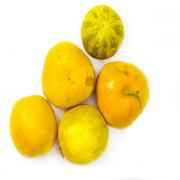 Buy Dosakai 1 Lbs | Patel Brothers - Quicklly