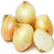 Buy Sweet Onion 1 Count | World Fresh Market - Quicklly