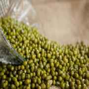 Buy Taj Premium Indian Moong Dal Whole Mung Beans 2 Lbs | Gandhi Foods ...
