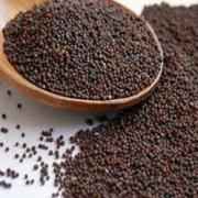 Buy Taj Premium Indian Mustard Seeds Rai Sason 20 Oz | Gandhi Foods ...