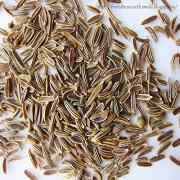 Buy Shah Jeera India Bazaar 200 Gm | Indiaco - Quicklly