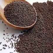 Buy Mustard Seeds Small (rai) Adani 200 Gm | Indiaco - Quicklly