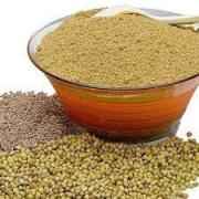 Buy Dhana Jeera Powder India Bazaar 800 Gm | Indiaco - Quicklly