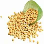 Buy Khushboo Yellow Vatana 1 Lbs | Manpasand - Quicklly