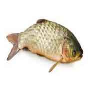 Buy Fresh Grass Carp 1 Lbs | Famous Meats - Quicklly