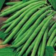 Buy Nepali Garden Nepali Green Beans 500 Gm | Manpasand - Quicklly
