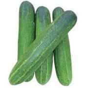 Buy Desi Cucumber 1 Lbs | Patel Brothers - Quicklly