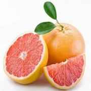 Buy Toronja Grapefruit 1 Lbs | Suvidha Morrisville - Quicklly