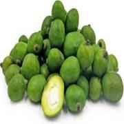 Buy Baby Mango 1 Lbs | Patel Brothers - Quicklly